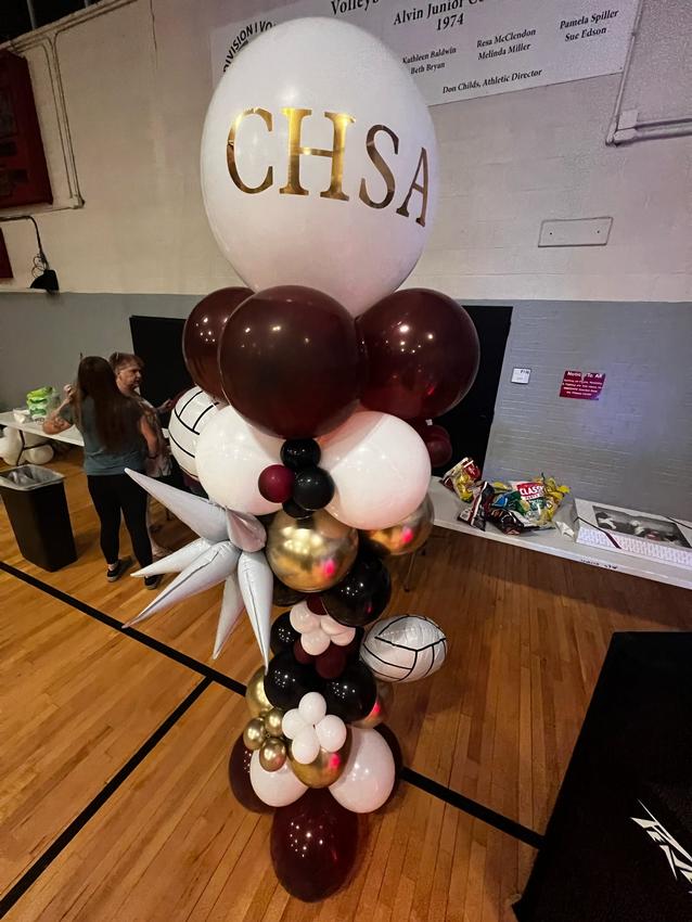 CHSA Volleyball Home Page