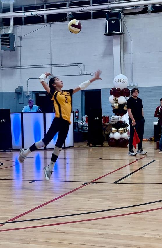 CHSA Volleyball Home Page