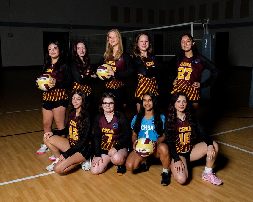 CHSA Volleyball Home Page