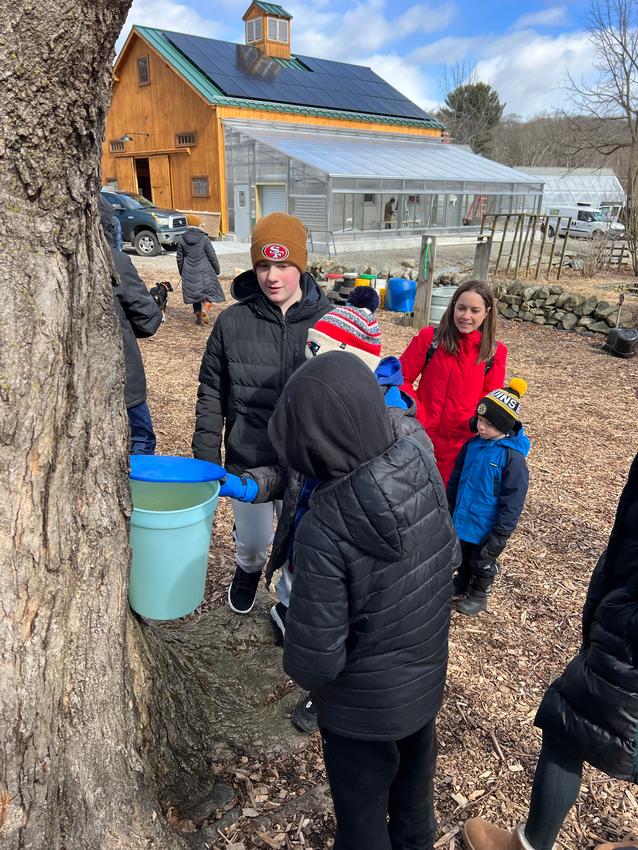 Pilgrims Progress Home School Association