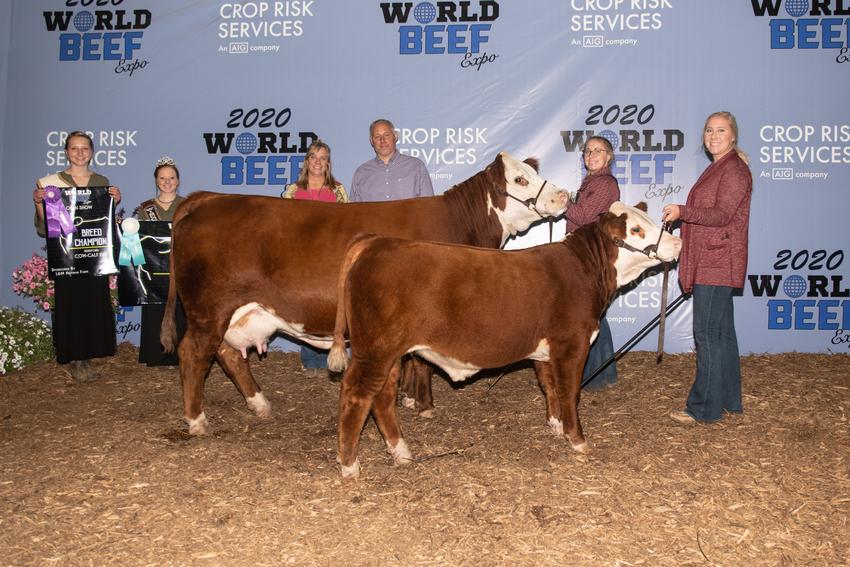 Champion Cow Calf Pairs