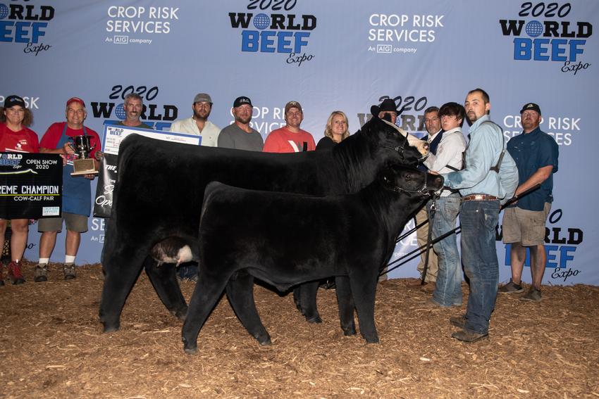 Champion Cow Calf Pairs