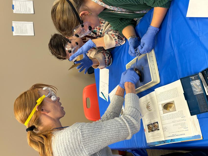 Texas Homeschool Co-op